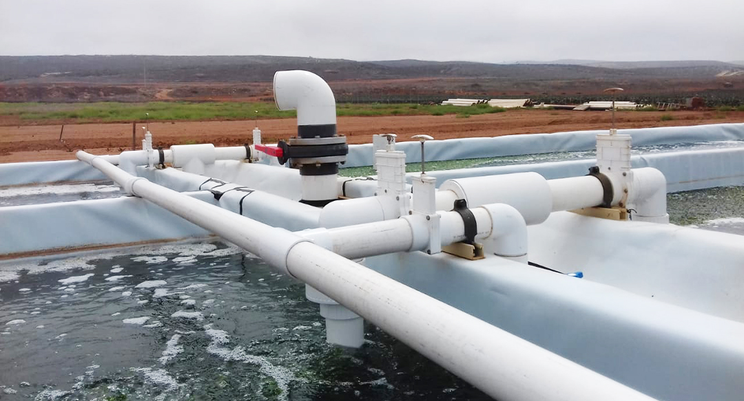 ¿Cuál es el uso de la geomembrana con capa blanca?